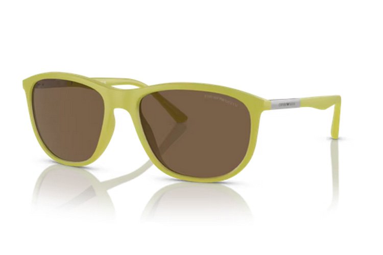 Emporio Armani EA 4201 601073