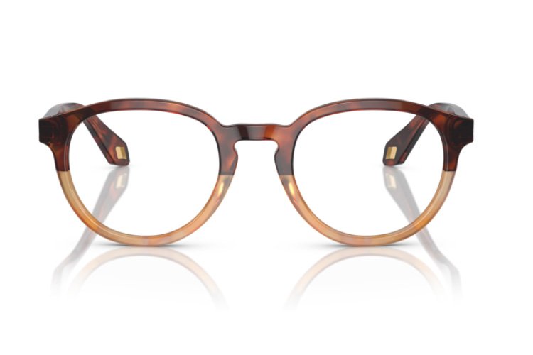 Giorgio Armani AR 7248 6034