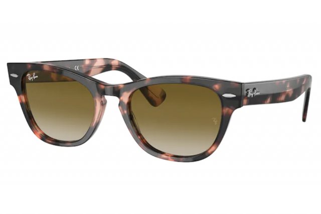 Ray-Ban RB 2201 133451