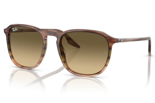 Ray-Ban RB 2203 13920A