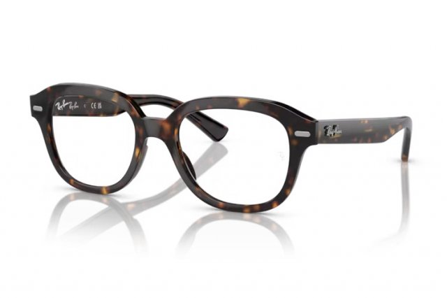 Ray Ban RX 7215 2012