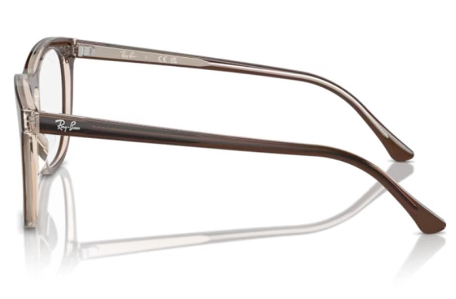 Ray-Ban RX 2210V 8365